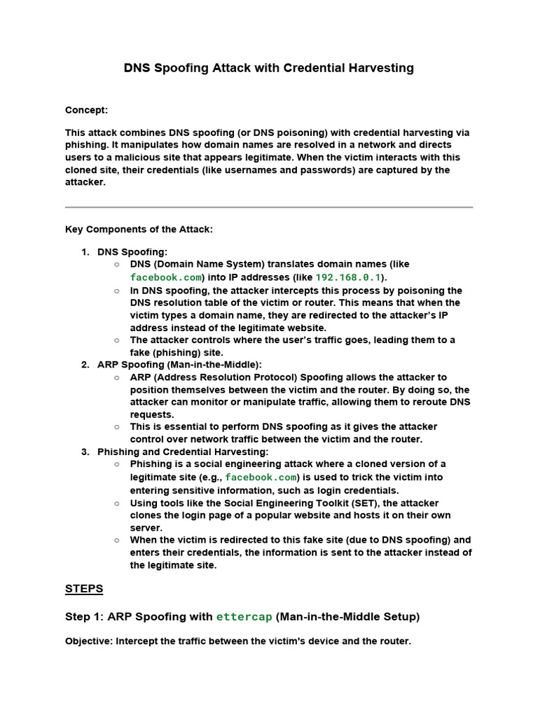 securiteeAttack | PDF | Phishing | Domain Name System