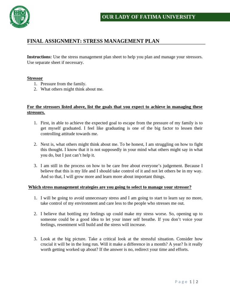 Final Assignment - Stress Management Plan | PDF | Stress (Biology ...