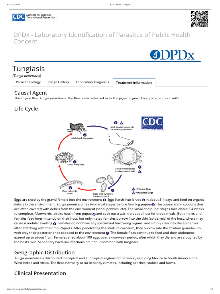 CDC - DPDx - Tungiasis | PDF | Pupa | Medical Specialties