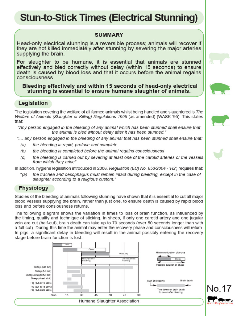 2006 Stun To Stcik Times Electrical Stunning HSA | PDF | Animal ...