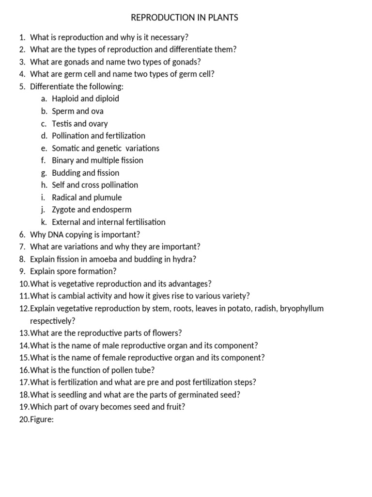 Reproduction in Plants | PDF