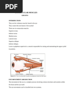 Basic Eom Motility | PDF | Anatomical Terms Of Motion | Ophthalmology