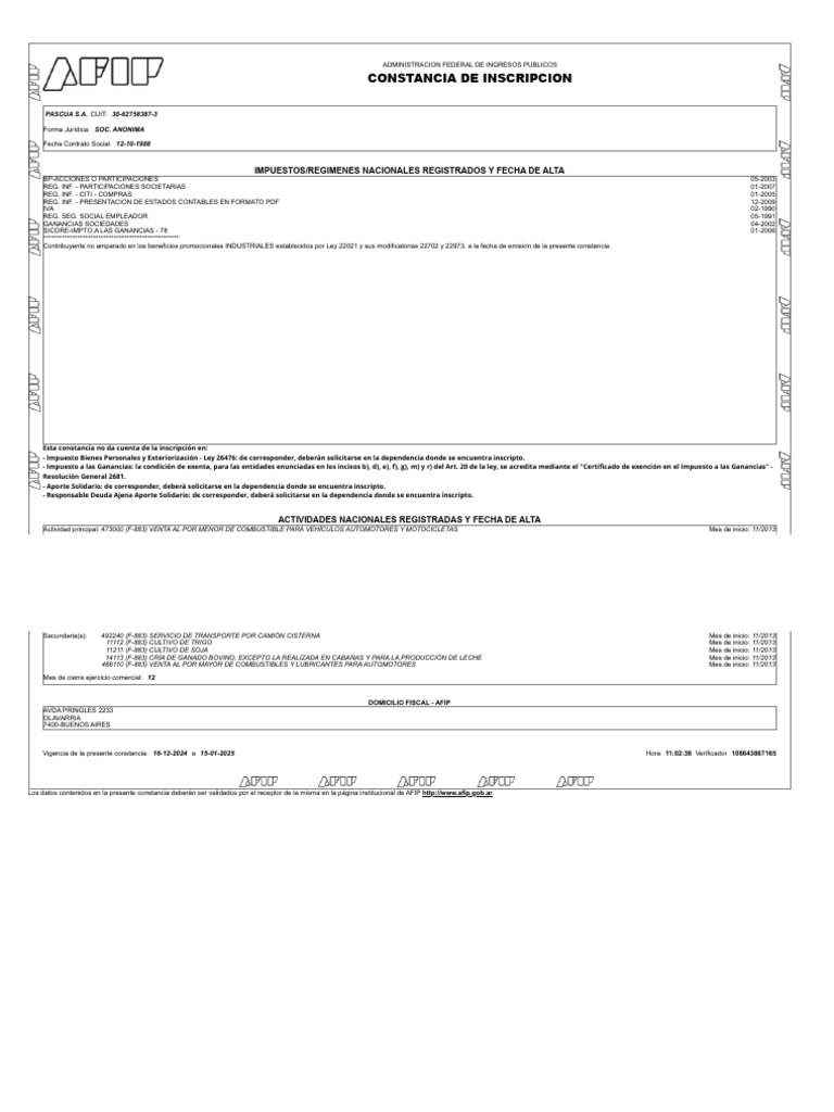 Constancia Afip | PDF | Economias