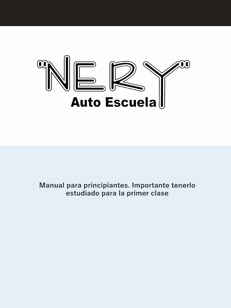 Nery Conduccion | PDF