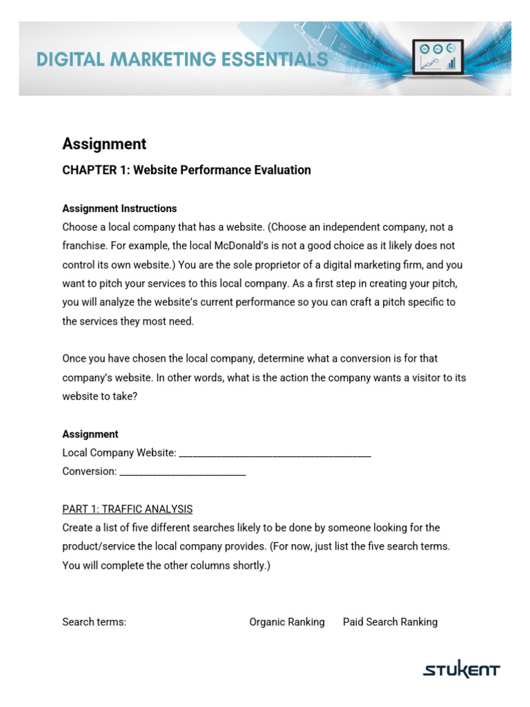 Chapter 1 Assignment - Website Performance Evaluation | PDF