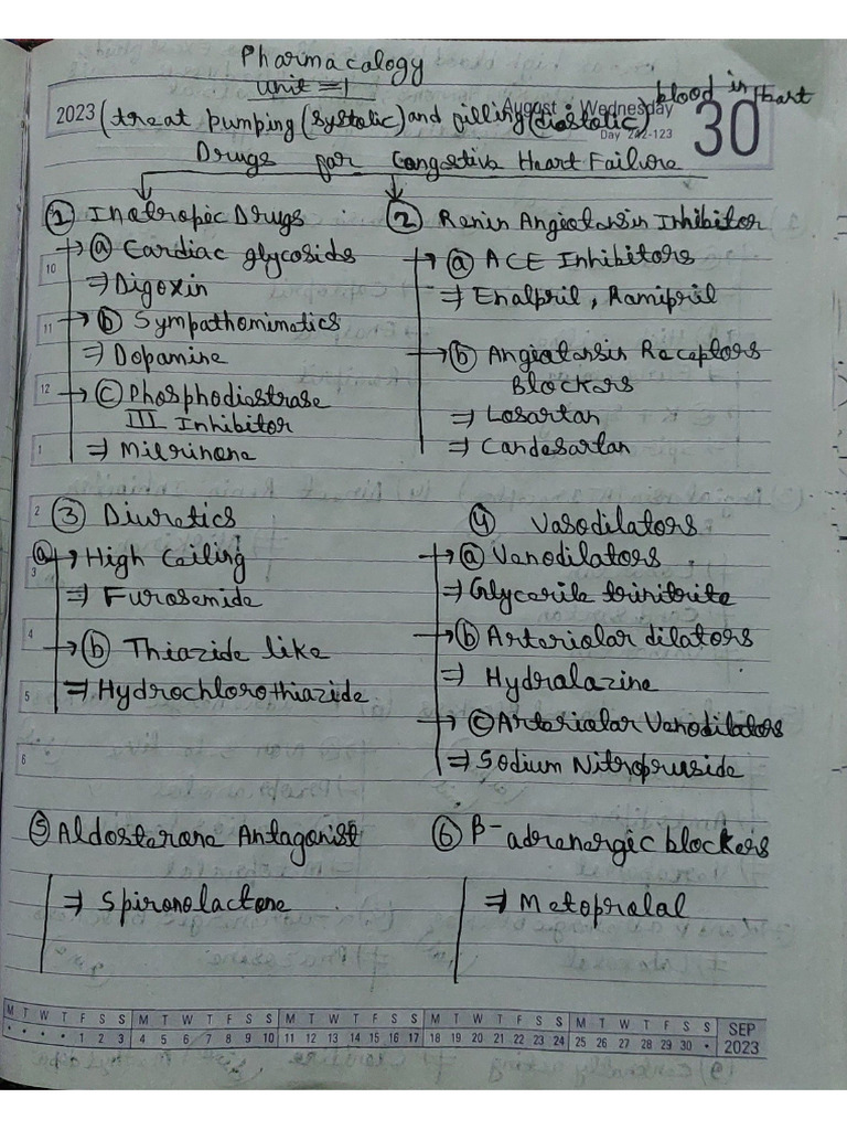 PDFReader_20241217_1903 | PDF