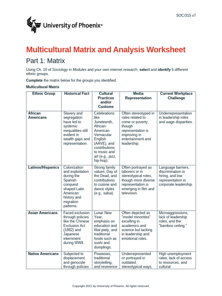 Soc315 v7 wk3 Multicultural Matrix and Analysis Worksheet | PDF | Multiculturalism | Economic ...