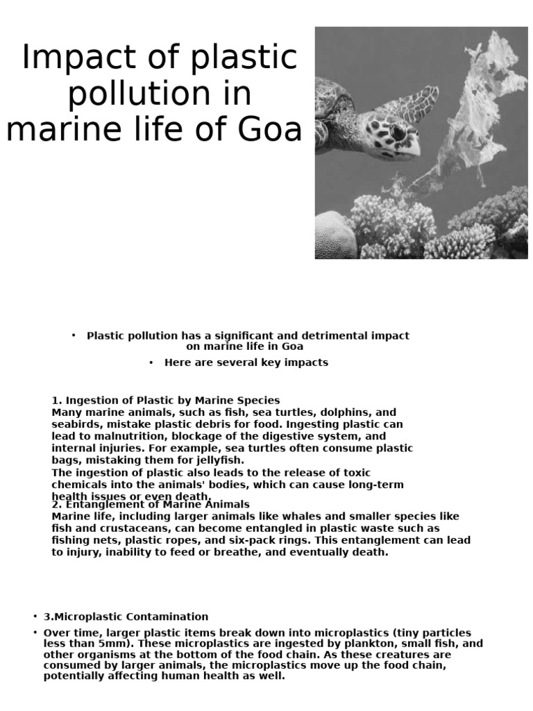 Goa Pollution | PDF | Pollution | Sea Turtle