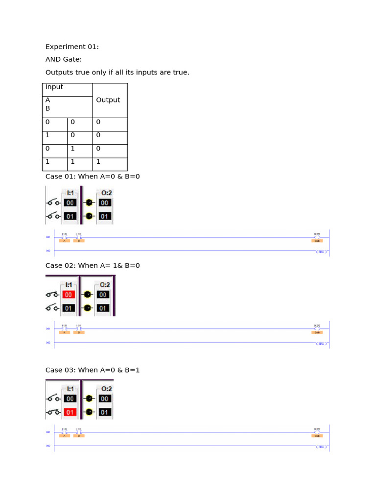 IM Lab | PDF