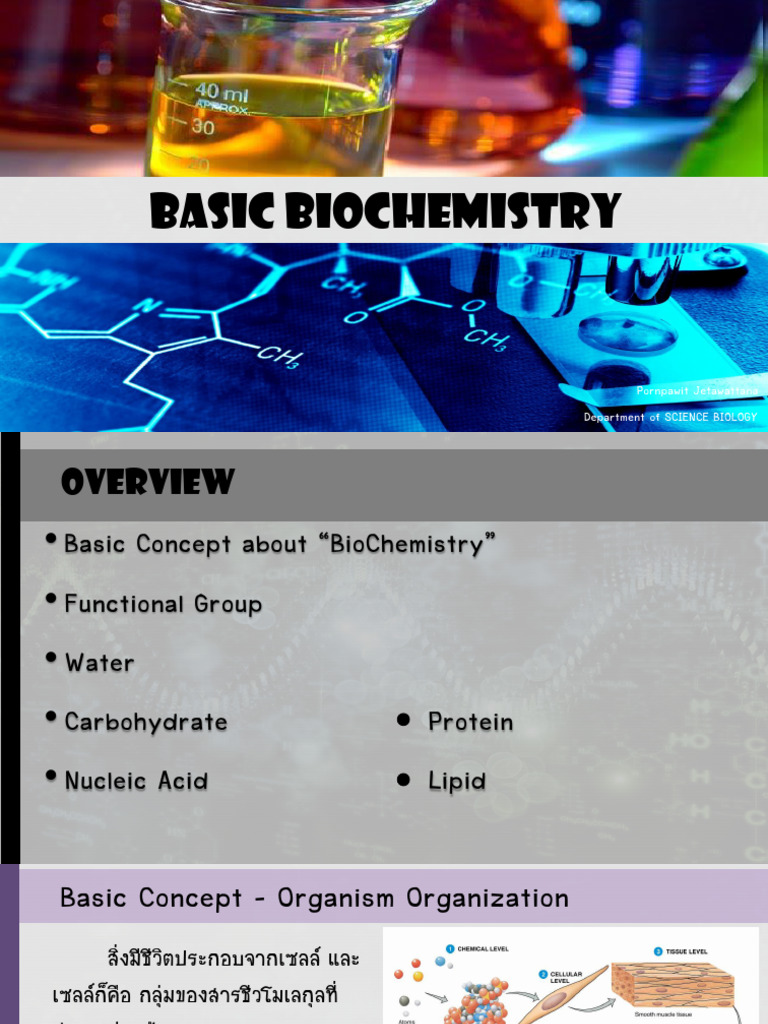 4-Basic Biochemistry 2024 | PDF | Polysaccharide | Amino Acid