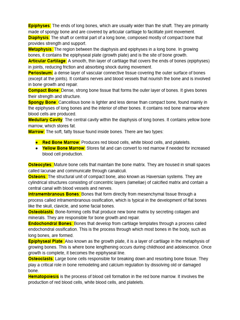 Skeletal System Vocabulary | PDF | Bone | Skeletal System