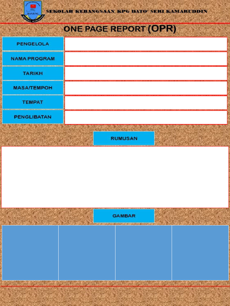 One Page Report (Opr) | PDF