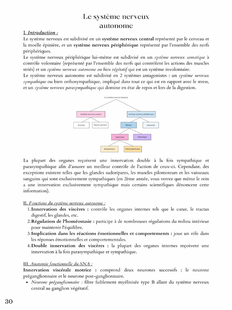 SNA | PDF
