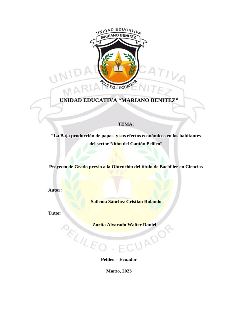 PROYECTO Sailema Cristian | PDF | Comercio | Agricultura