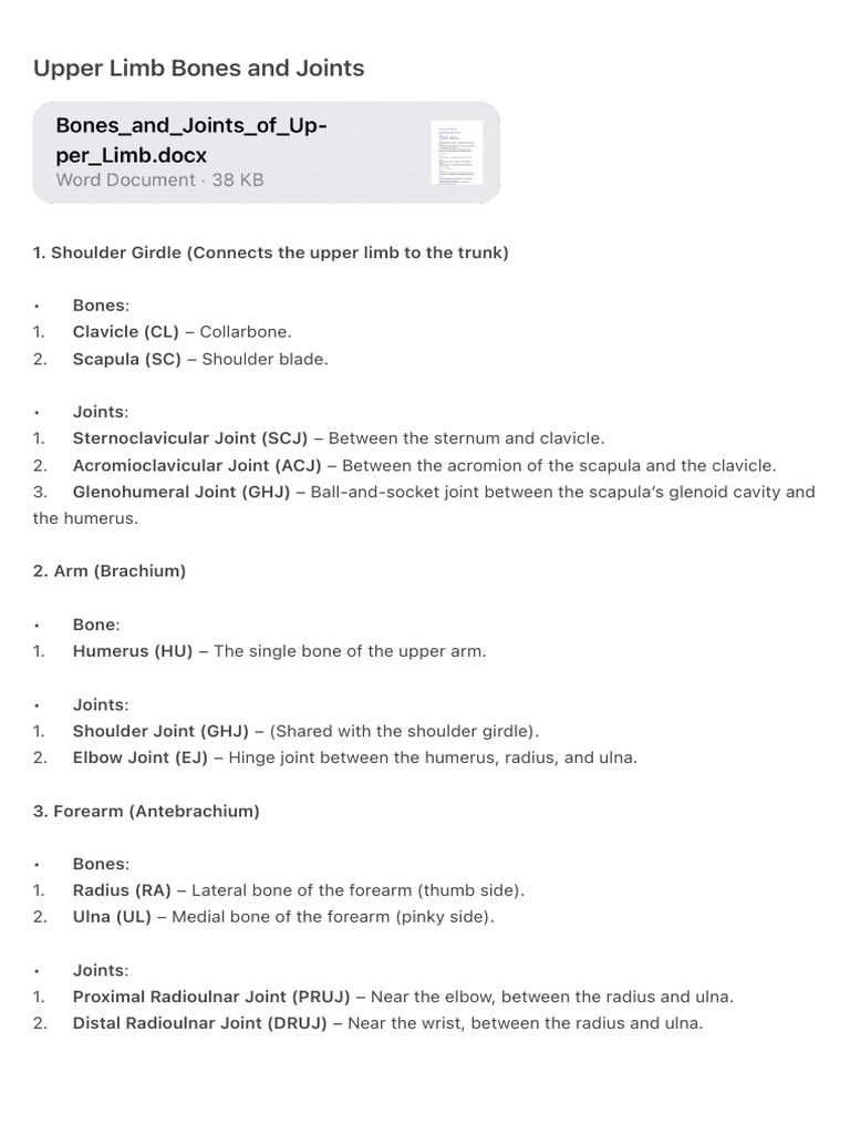 Upper Limb Bones and Joints | PDF | Arm | Skeletal System