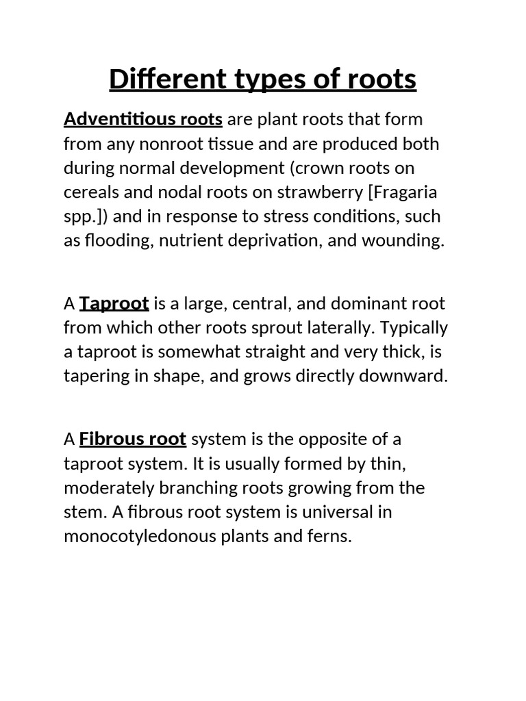 Different Types of Roots - Copy - Copy | PDF