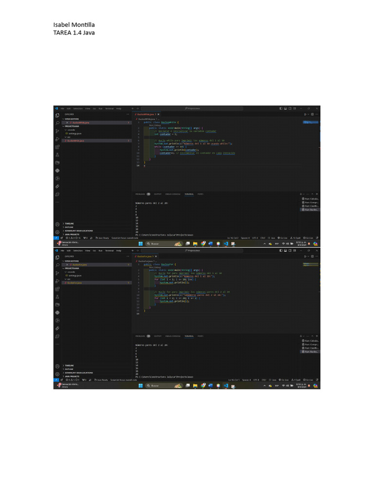 Tarea 1.4 Java While | PDF