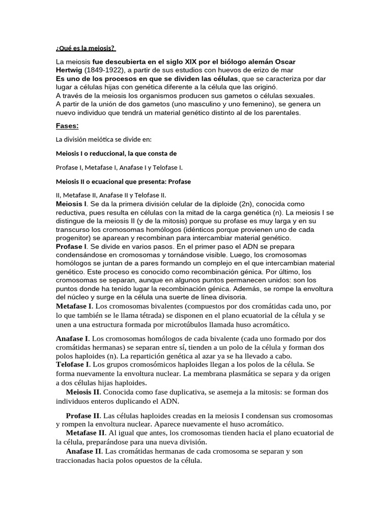 Qué Es La Meiosis Pdf Mitosis Anatomía