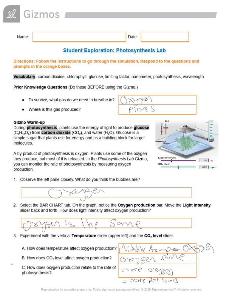 Photosynthesis Lab GIZMO | PDF | Photosynthesis | Carbon Dioxide