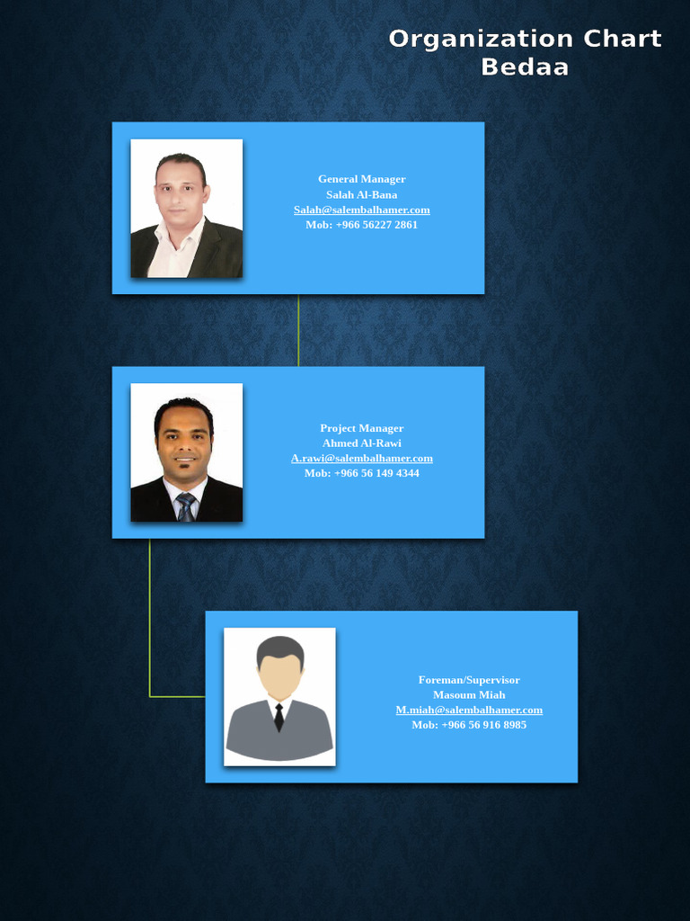 Proposed Organization Chart | PDF