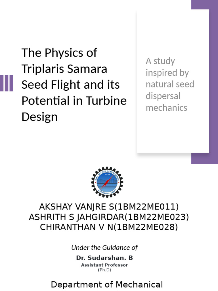 Triplaris Samara Presentation1 | PDF | Turbine | Lift (Force)