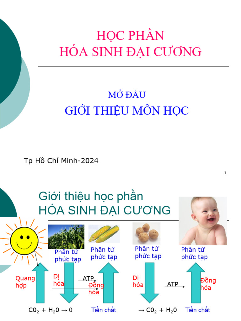 Gioi Thieu HSDC | PDF