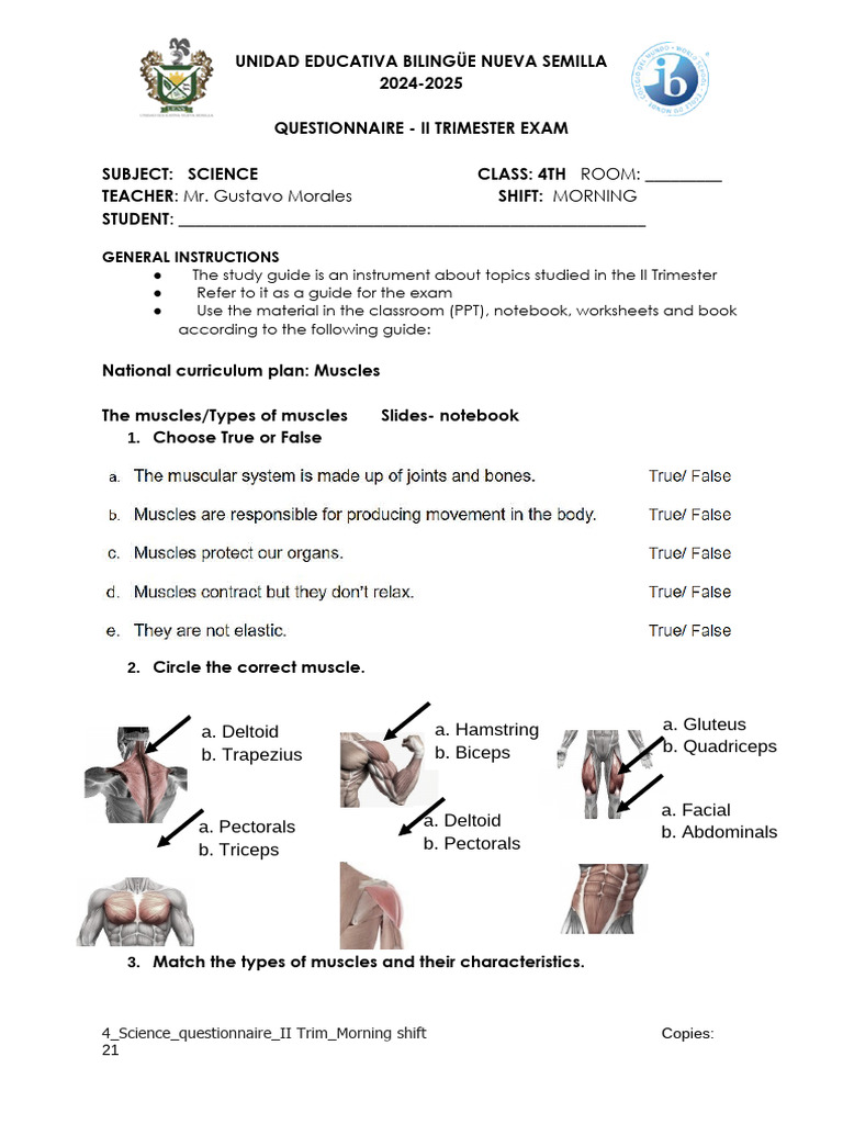 4A Science Questionnaires Trim 2 | PDF | Rock (Geology) | Sedimentary Rock