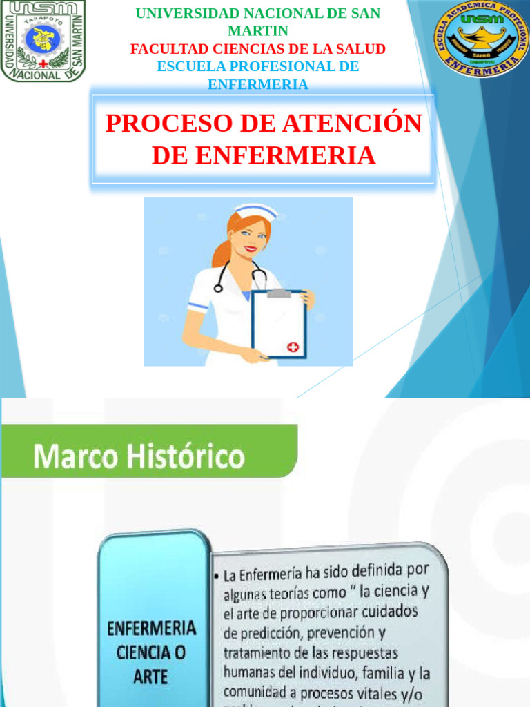 Proceso de Atencion de Enfermer i A | PDF