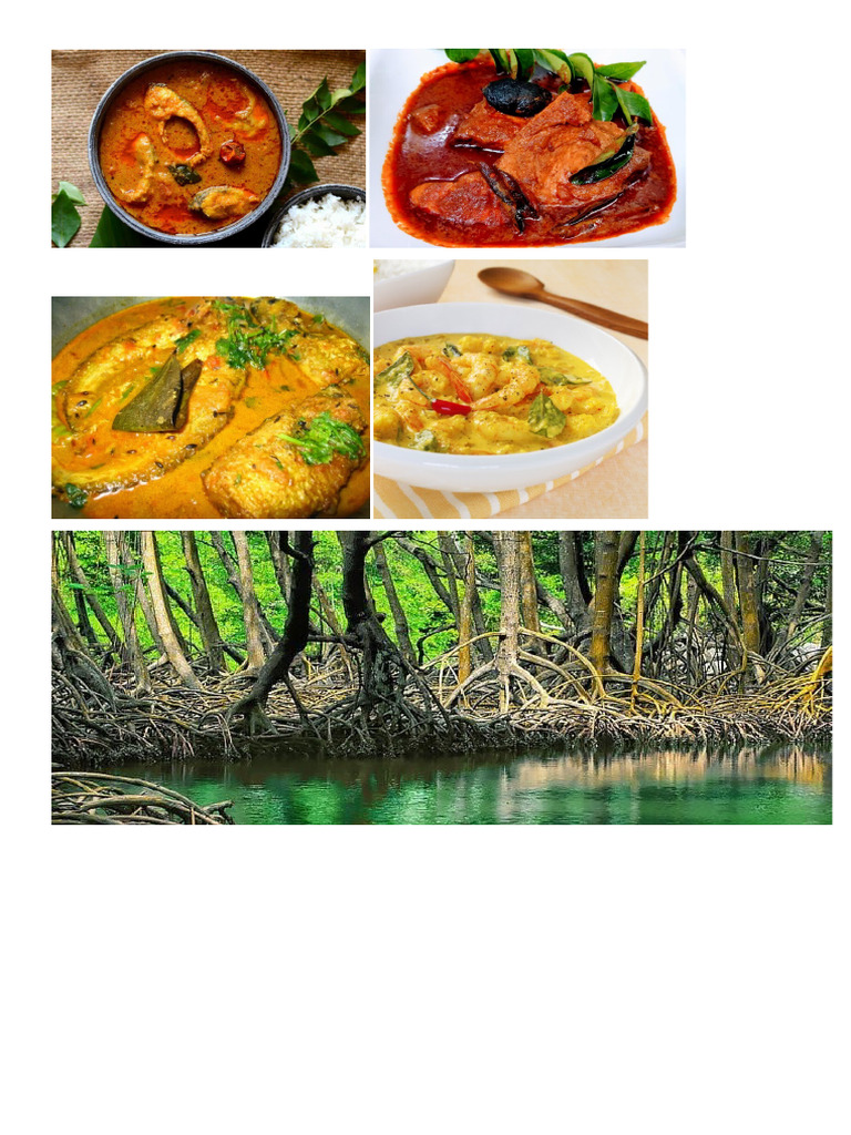 ujjwal projects | PDF