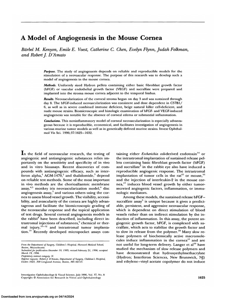 A Model of Angiogenesis in The Mouse Cornea | PDF | Angiogenesis ...