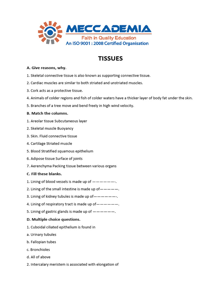 tissues assignment 4 | PDF | Tissue (Biology) | Epithelium