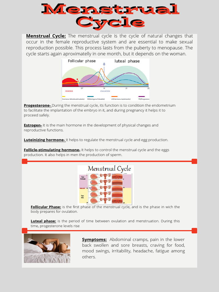 Menstrual cycle | PDF