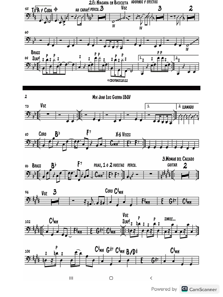 NIagara en Bicicleta | PDF