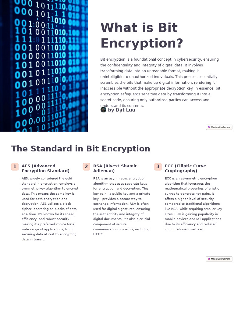 What is Bit Encryption (1) | PDF