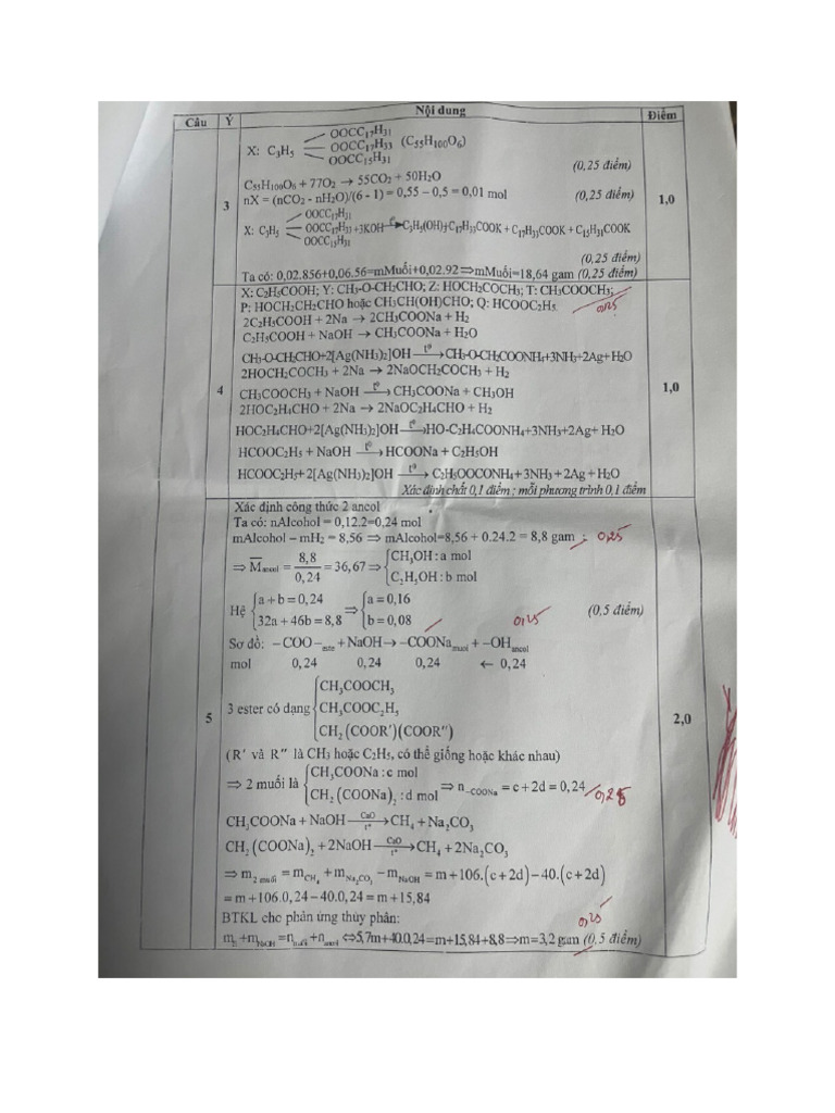 Chemistry Lol | PDF