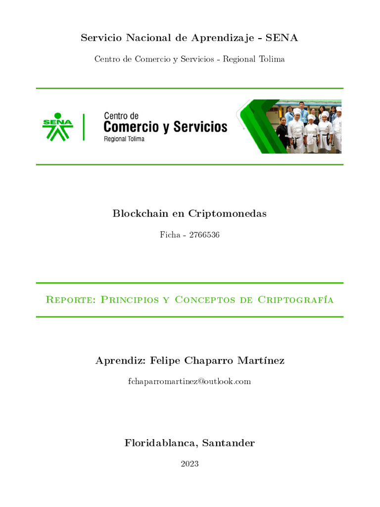Reporte - Principios y Conceptos de Criptografía | PDF | Criptografía | Criptoanálisis