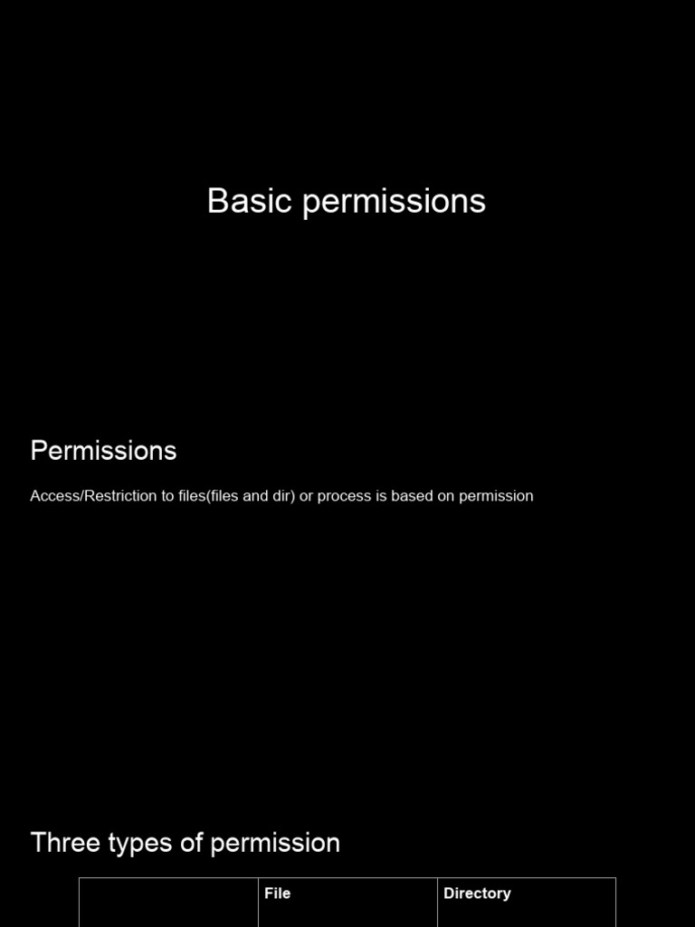 08 Basic Permissions | PDF