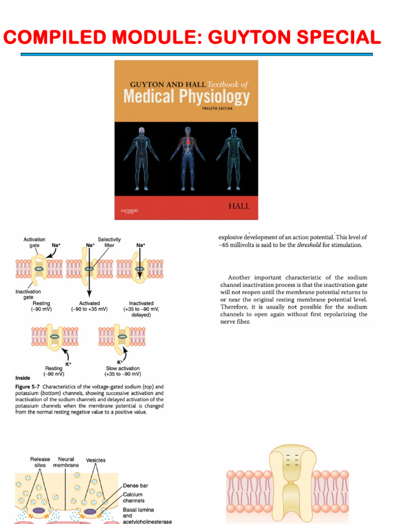 Compiled Guyton | PDF