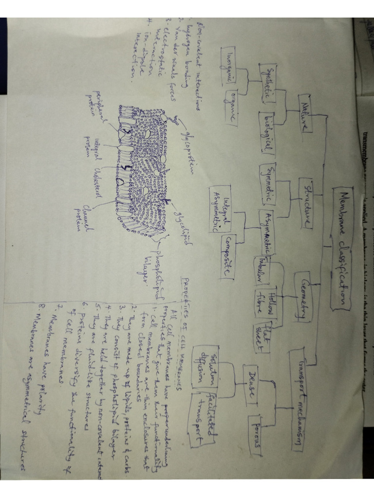Membrane MR - Ejiogu BCH | PDF