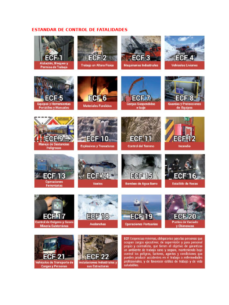 Estandar de Control de Fatalidades | PDF