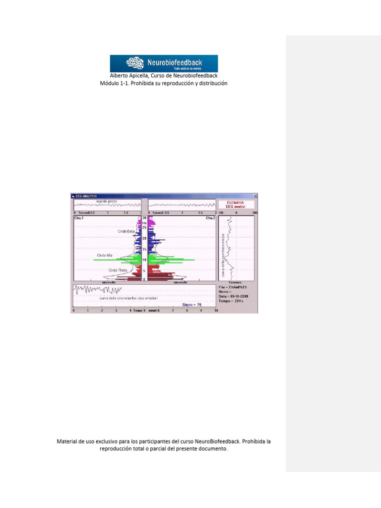 Curso NeuroBiofeedback - Mądulo 1 Parte 1 | PDF | Cerebro | Cerebelo