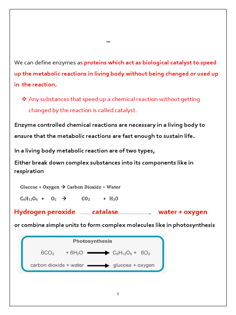 notes unit 5 | PDF | Enzyme | Active Site