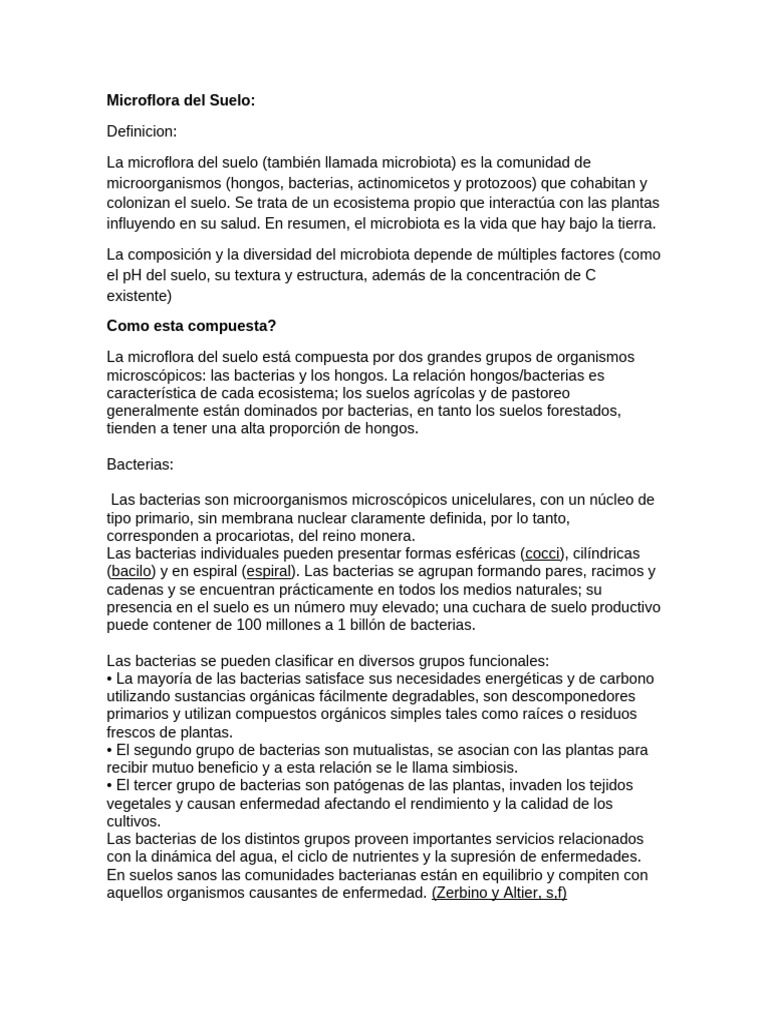 Microflora del Suelo: Tipos y Funciones | PDF | Hongo | Las bacterias