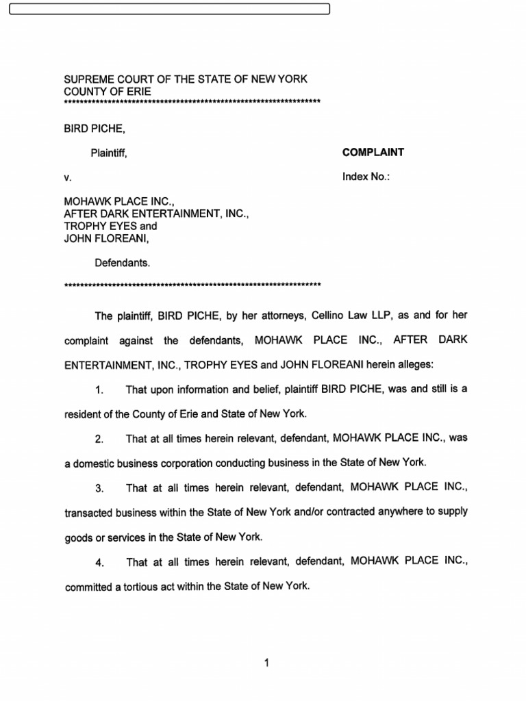 2024 Bird Piche V Mohawk Place Inc Et Al COMPLAINT 2 | PDF | Negligence | Recklessness (Law)
