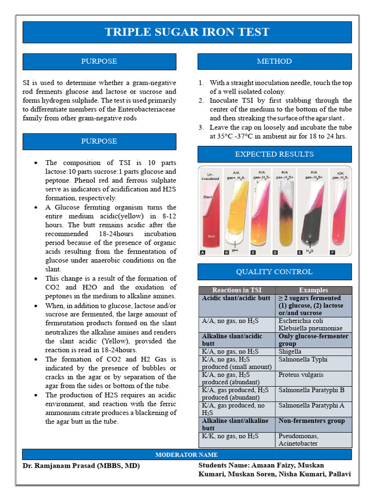 2. TRIPLE SUGAR IRON TEST | PDF