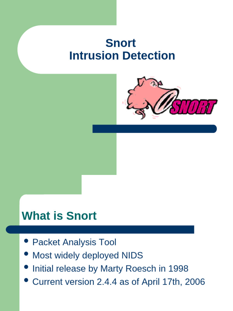 Snort_2 | PDF | Transmission Control Protocol | Port (Computer Networking)