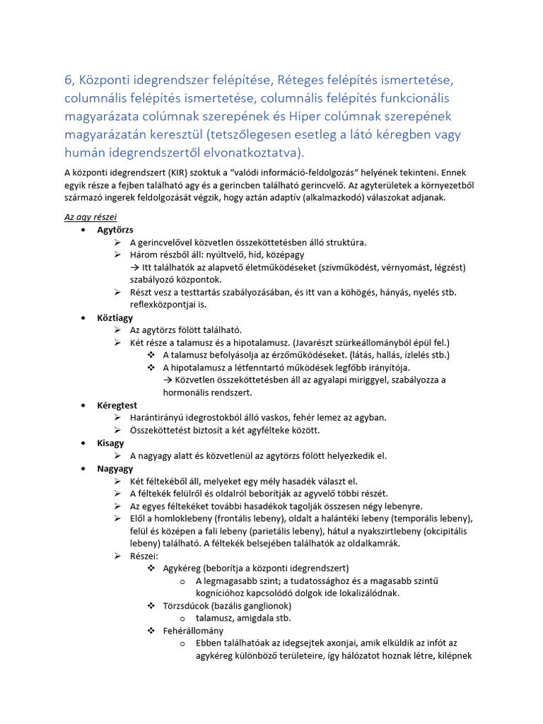 Központi Idegrendszer | PDF