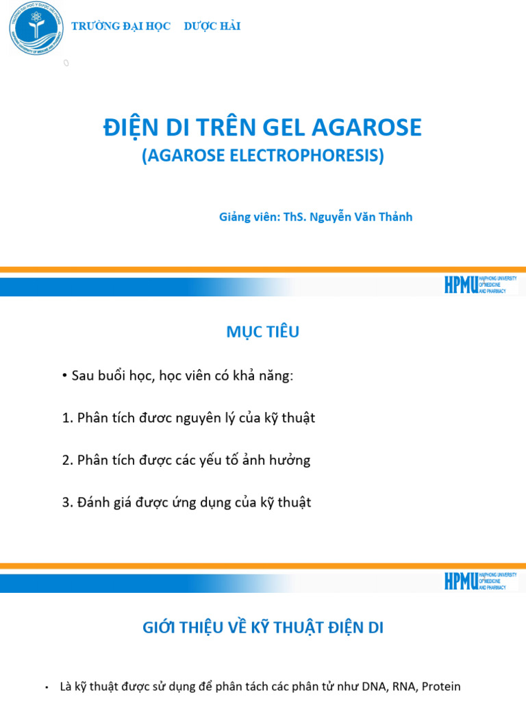 ĐIỆN DI TRÊN GEL AGAROSE | PDF