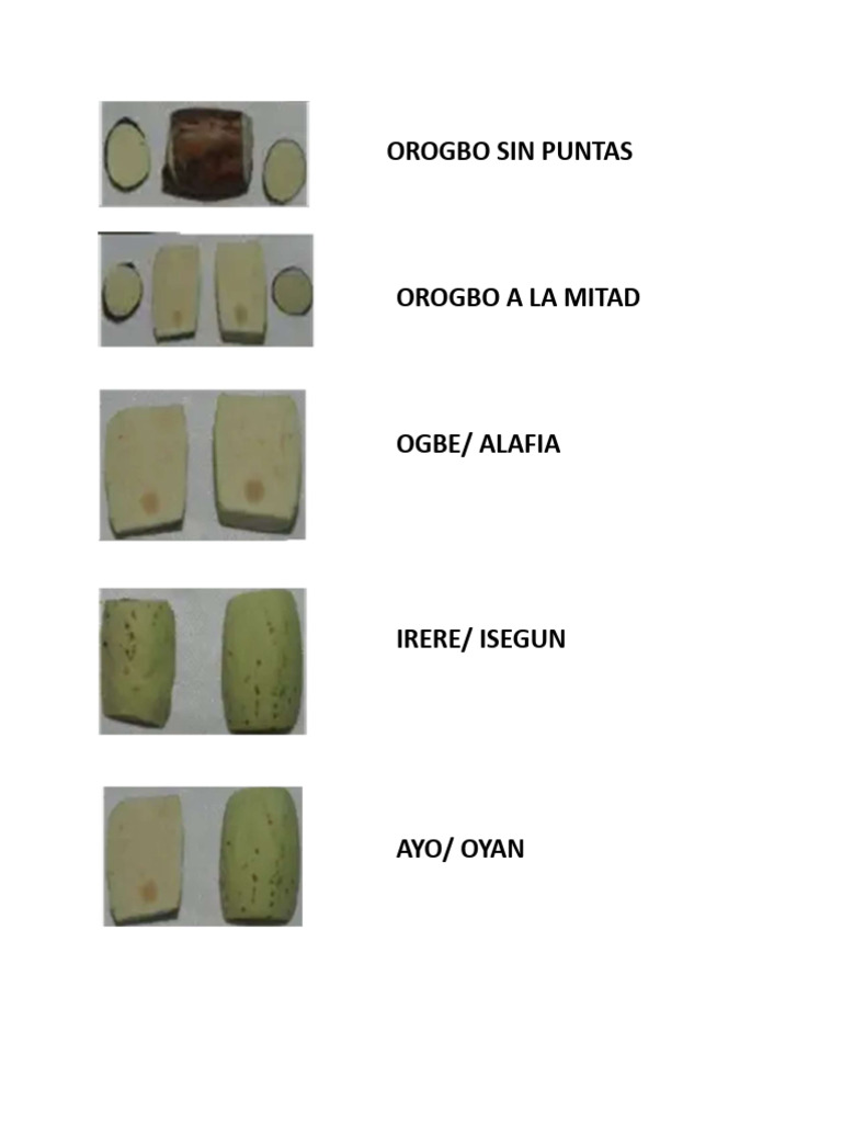 IMAGENES DE OROGBO | PDF