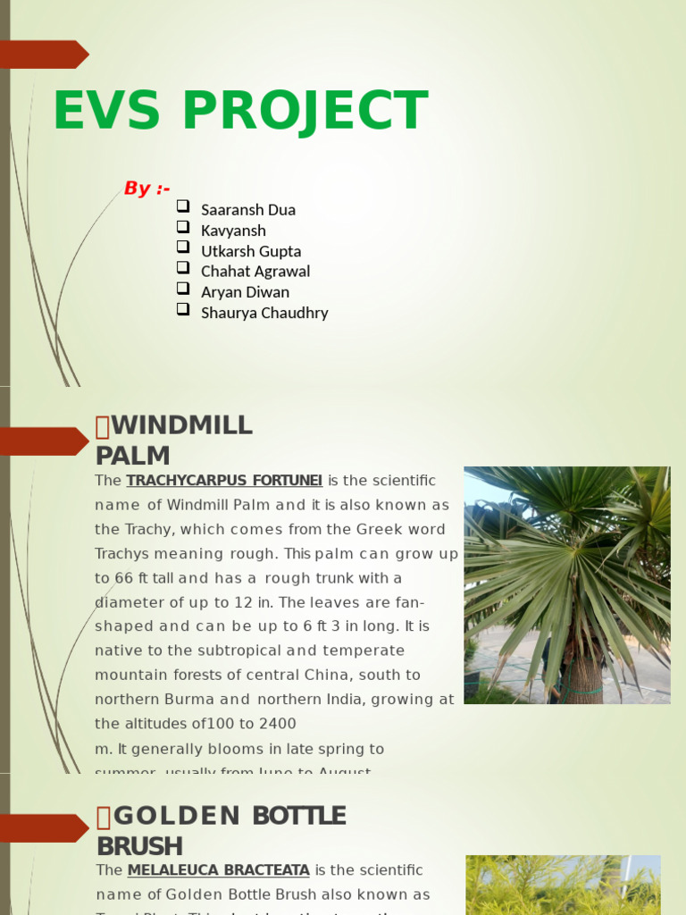 evs ppt-1 new (1) | PDF | Botany | Plants